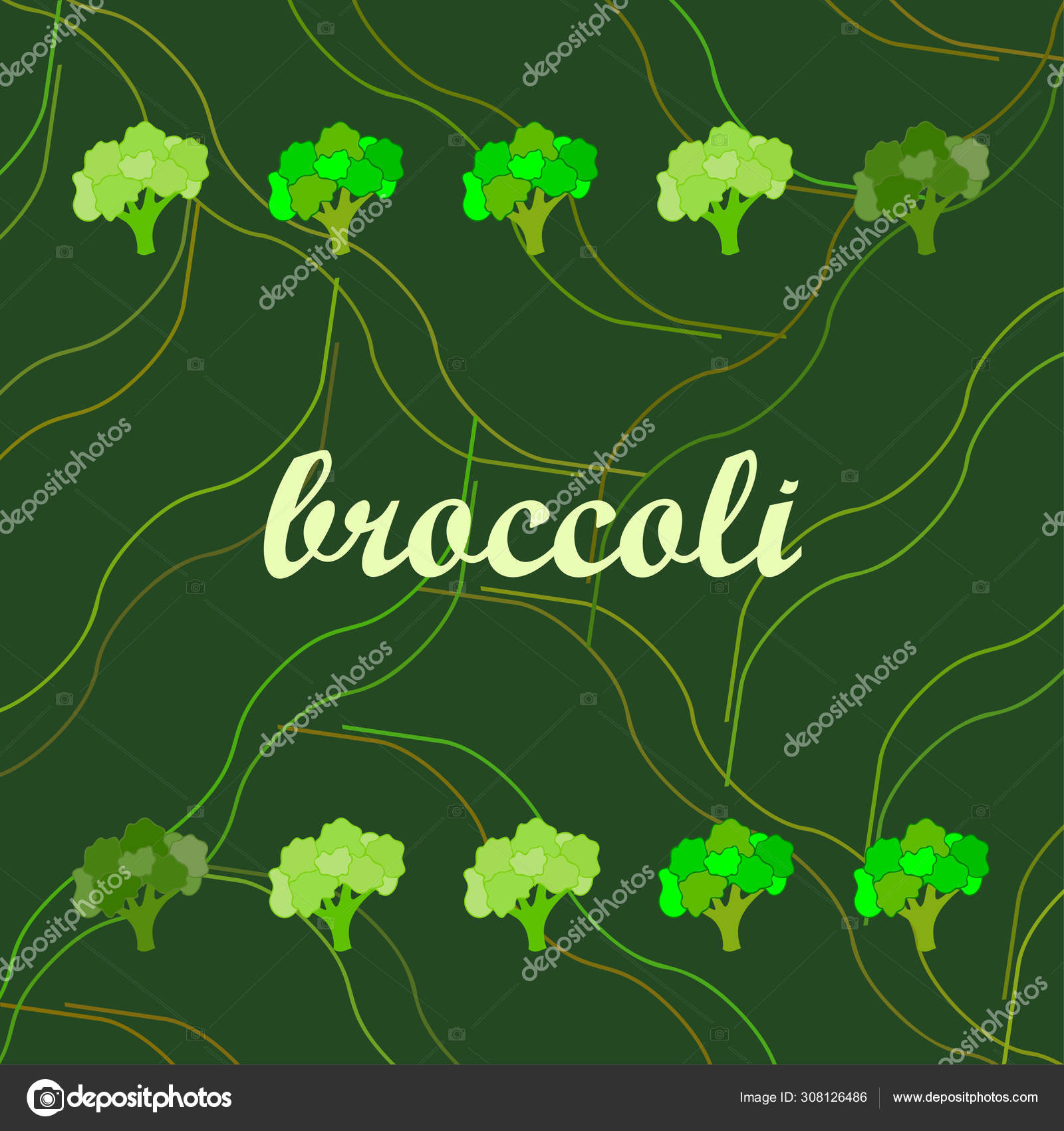Broccoli, fresh vegetable. Organic food poster. Farmer market design ...