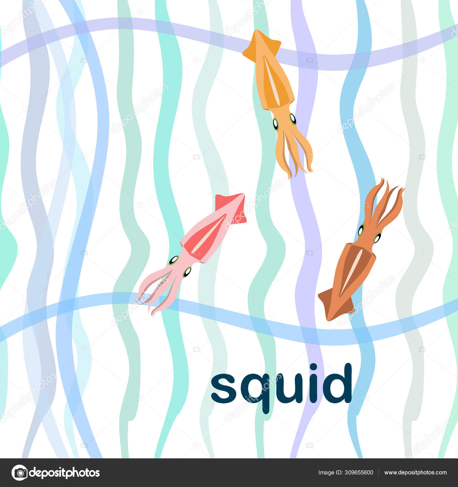 Squid fresh seafood. Vector backgroung. Food and restaurant design ...