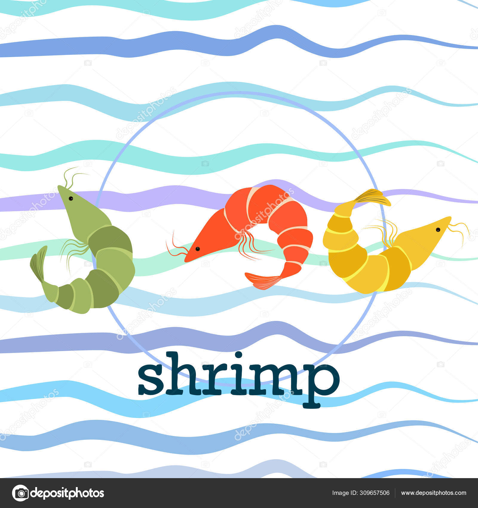 Shrimp fresh seafood. Vector backgroung. Food and restaurant design ...