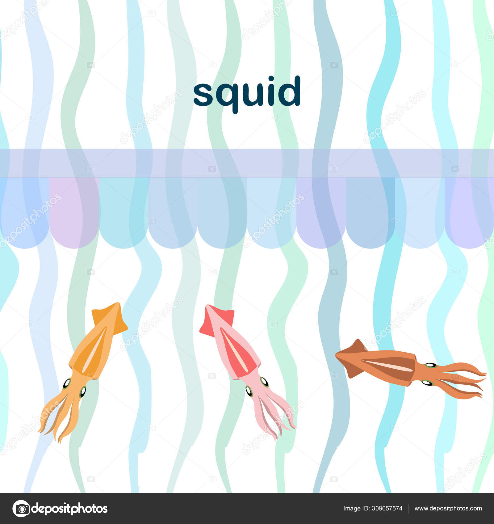 Squid fresh seafood. Vector backgroung. Food and restaurant design ...
