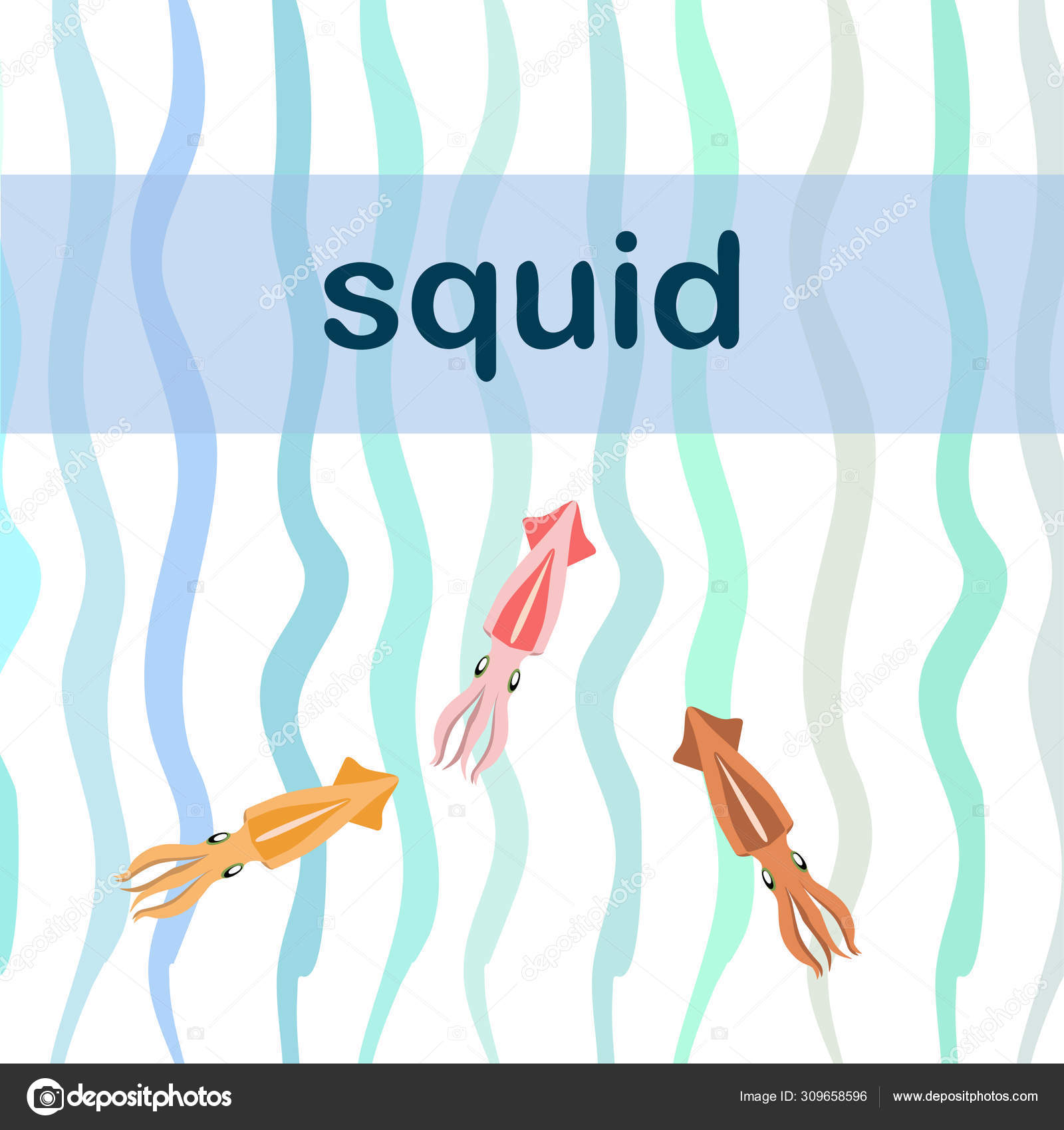 Squid fresh seafood. Vector backgroung. Food and restaurant design ...