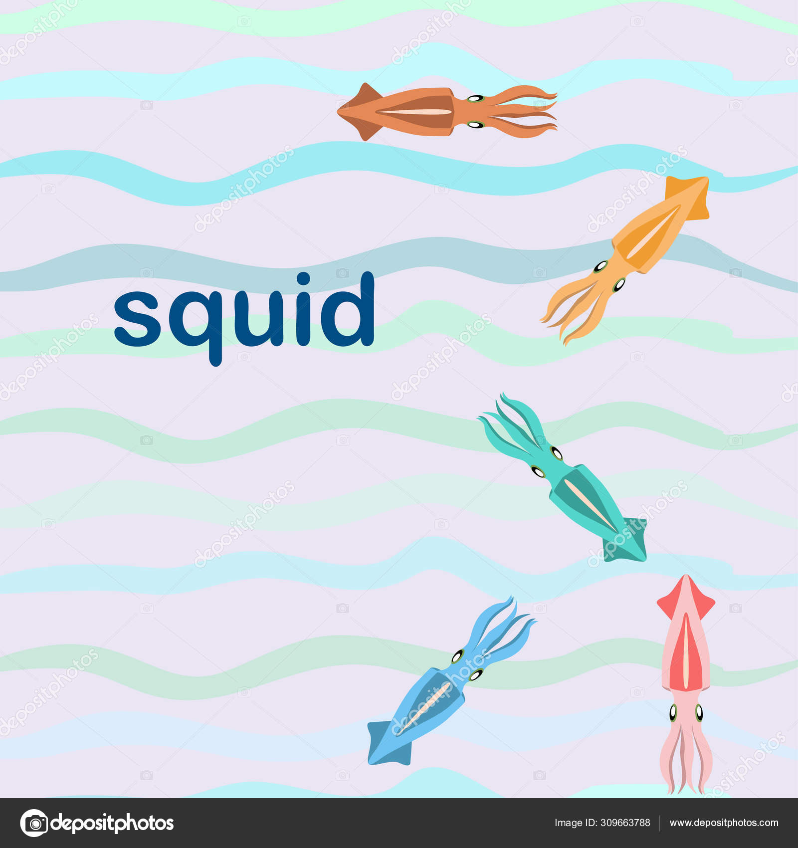 Squid fresh seafood. Vector backgroung. Food and restaurant design ...