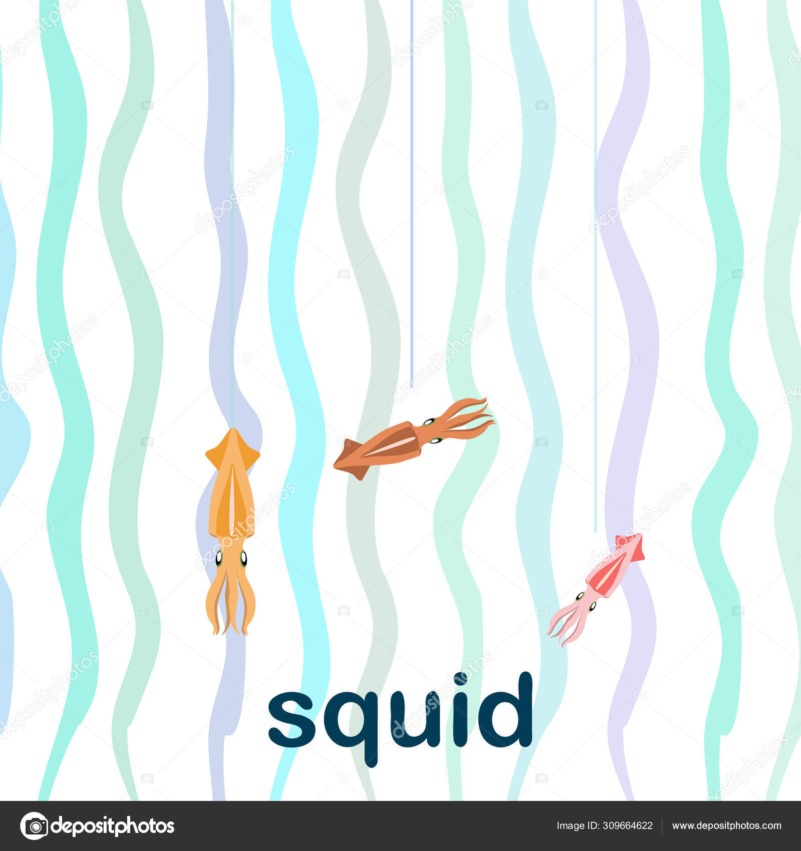 Squid fresh seafood. Vector backgroung. Food and restaurant design ...