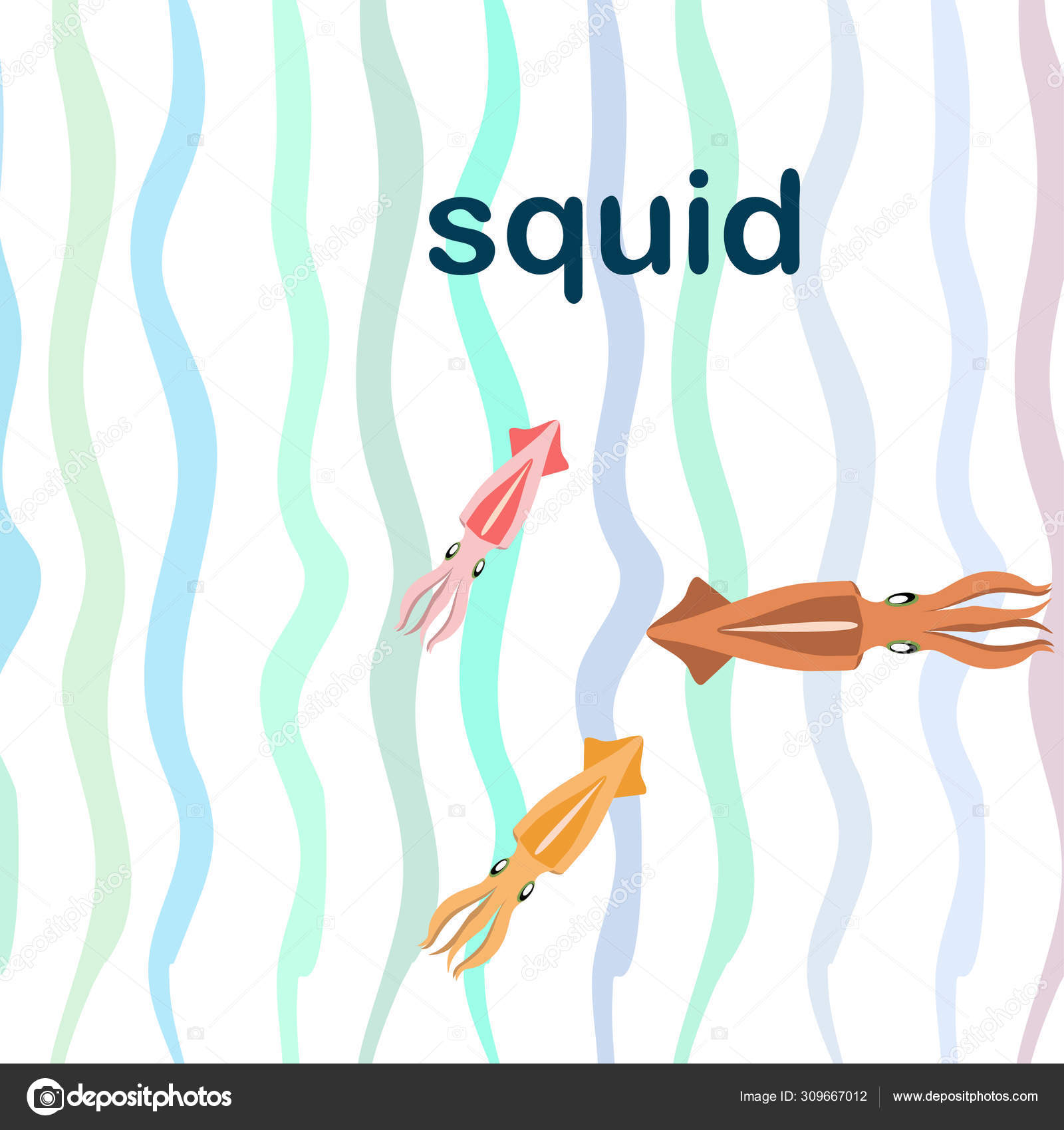 Squid fresh seafood. Vector backgroung. Food and restaurant design ...