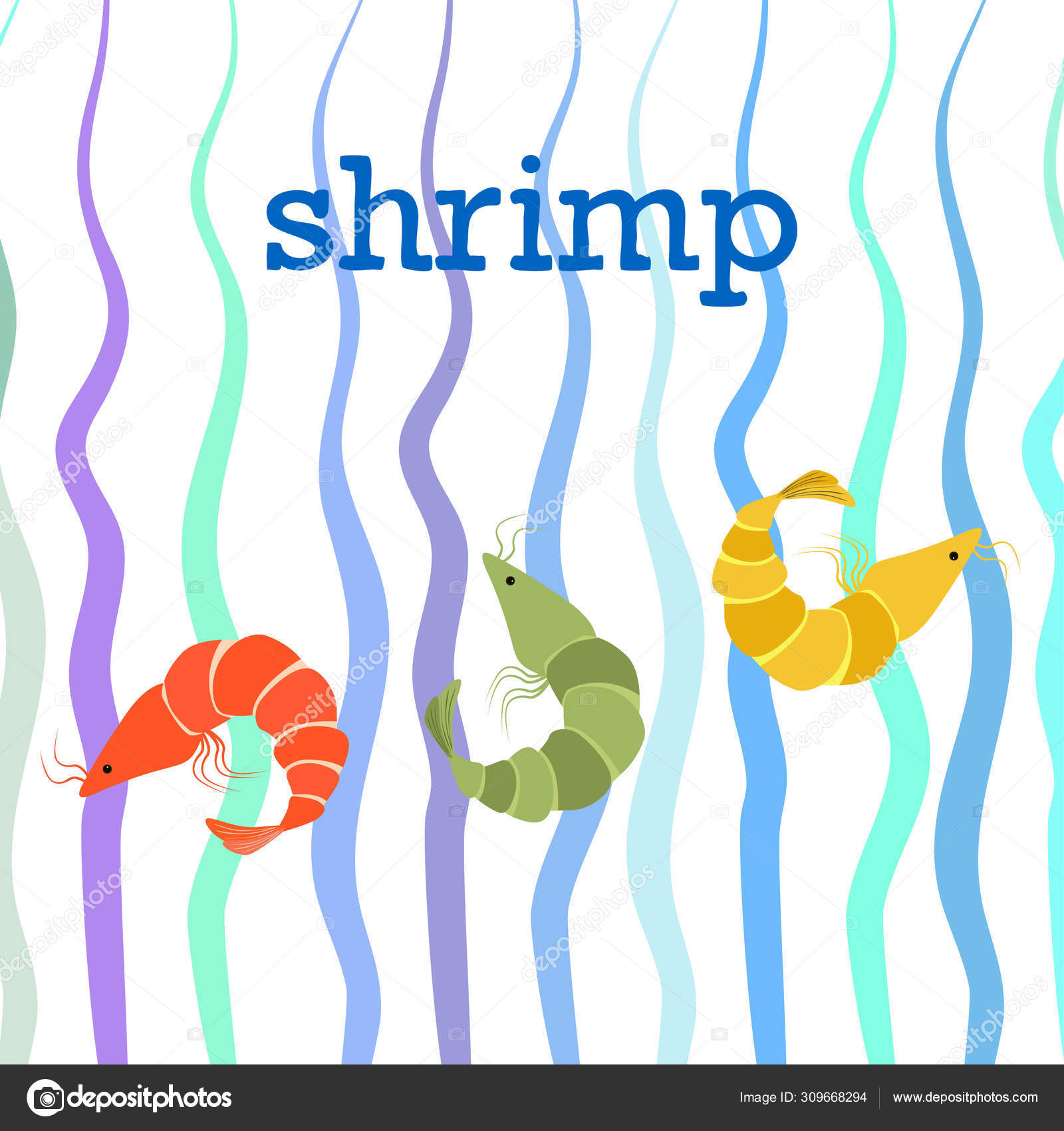Shrimp fresh seafood. Vector backgroung. Food and restaurant design ...