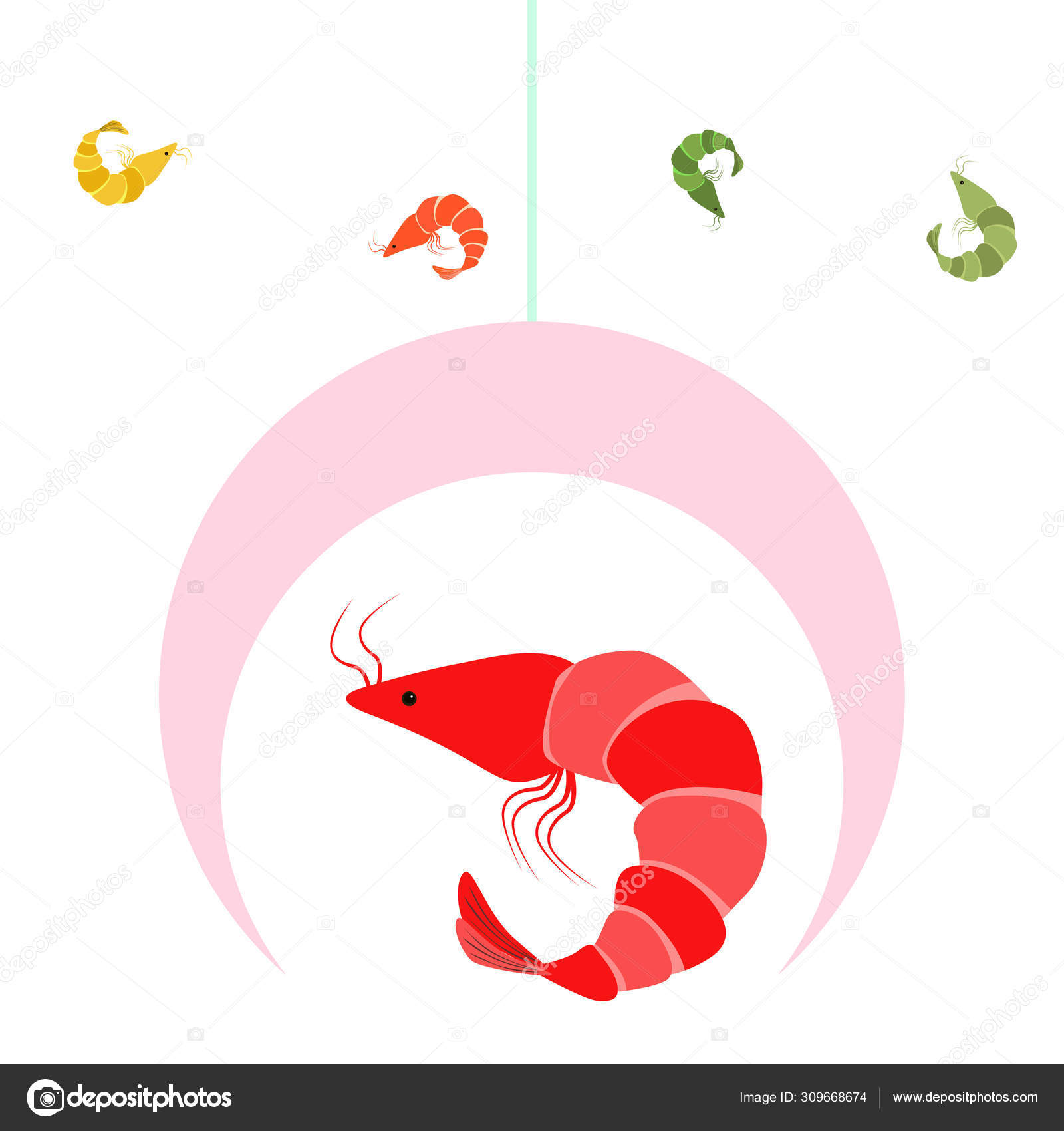 Shrimp fresh seafood. Vector backgroung. Food and restaurant design ...