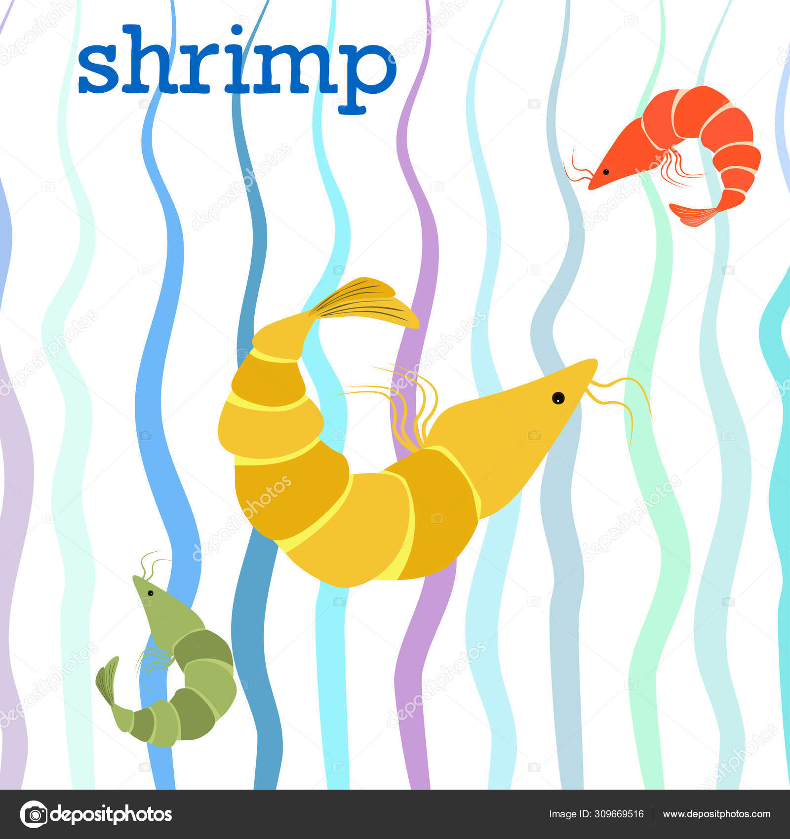 Shrimp fresh seafood. Vector backgroung. Food and restaurant design ...