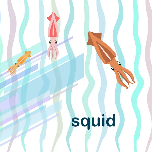 Squid fresh seafood. Vector backgroung. Food and restaurant design ...