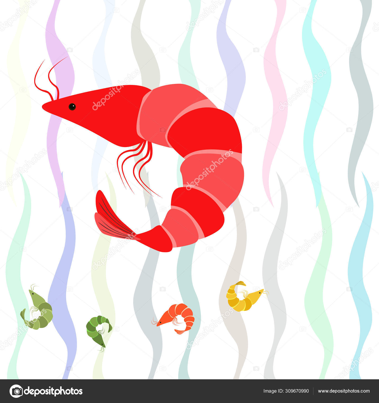 Shrimp fresh seafood. Vector backgroung. Food and restaurant design ...
