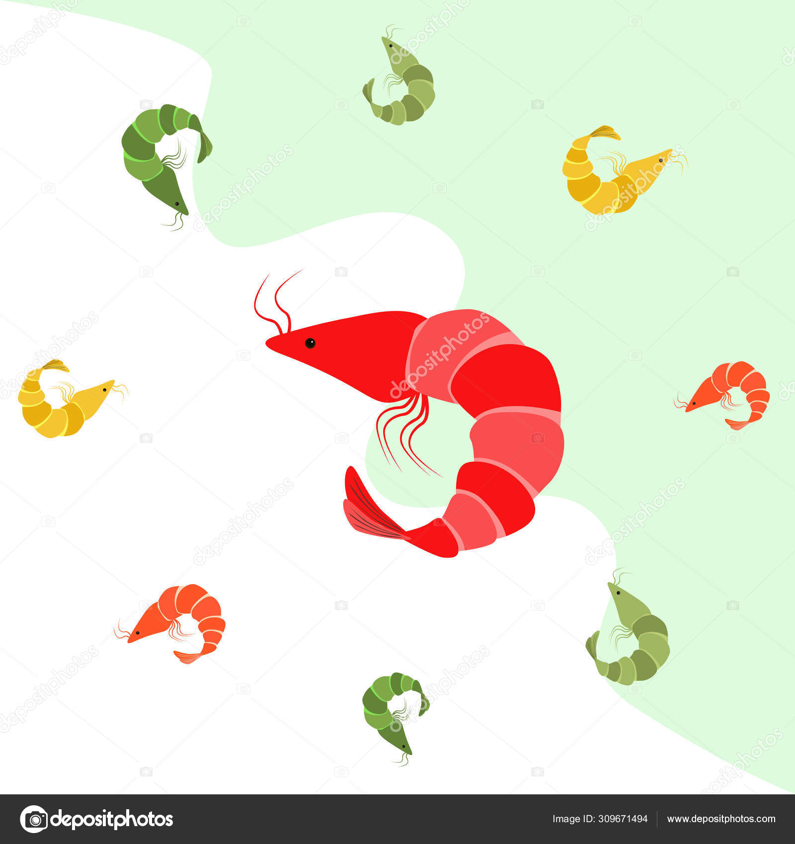 Shrimp fresh seafood. Vector backgroung. Food and restaurant design ...