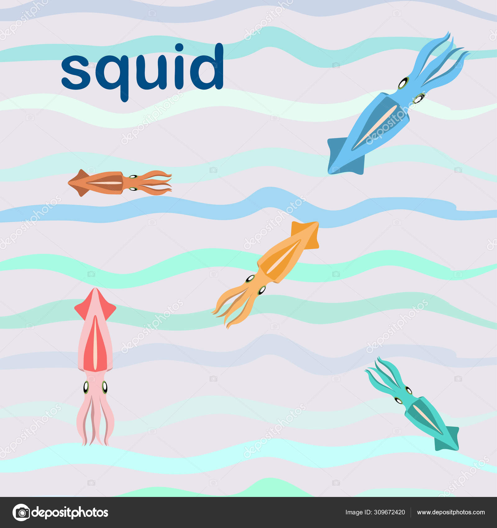 Squid fresh seafood. Vector backgroung. Food and restaurant design ...