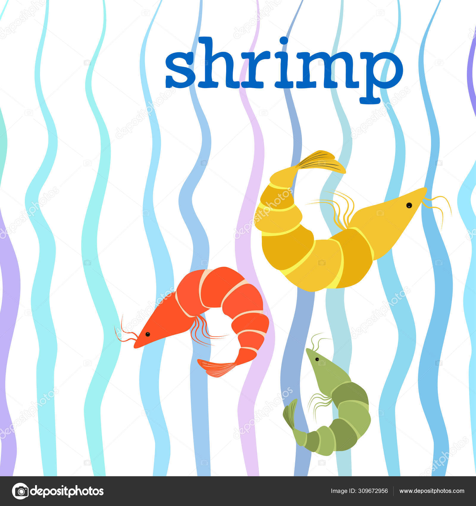 Shrimp fresh seafood. Vector backgroung. Food and restaurant design ...