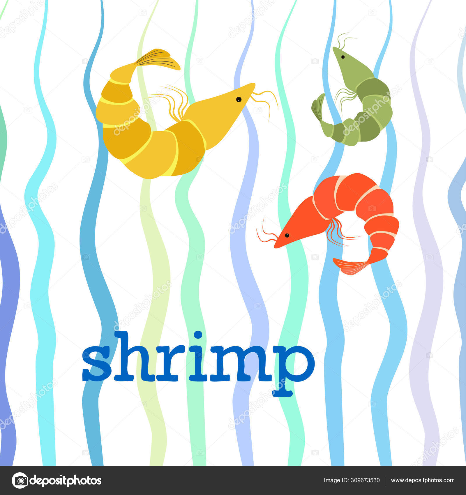 Shrimp fresh seafood. Vector backgroung. Food and restaurant design ...