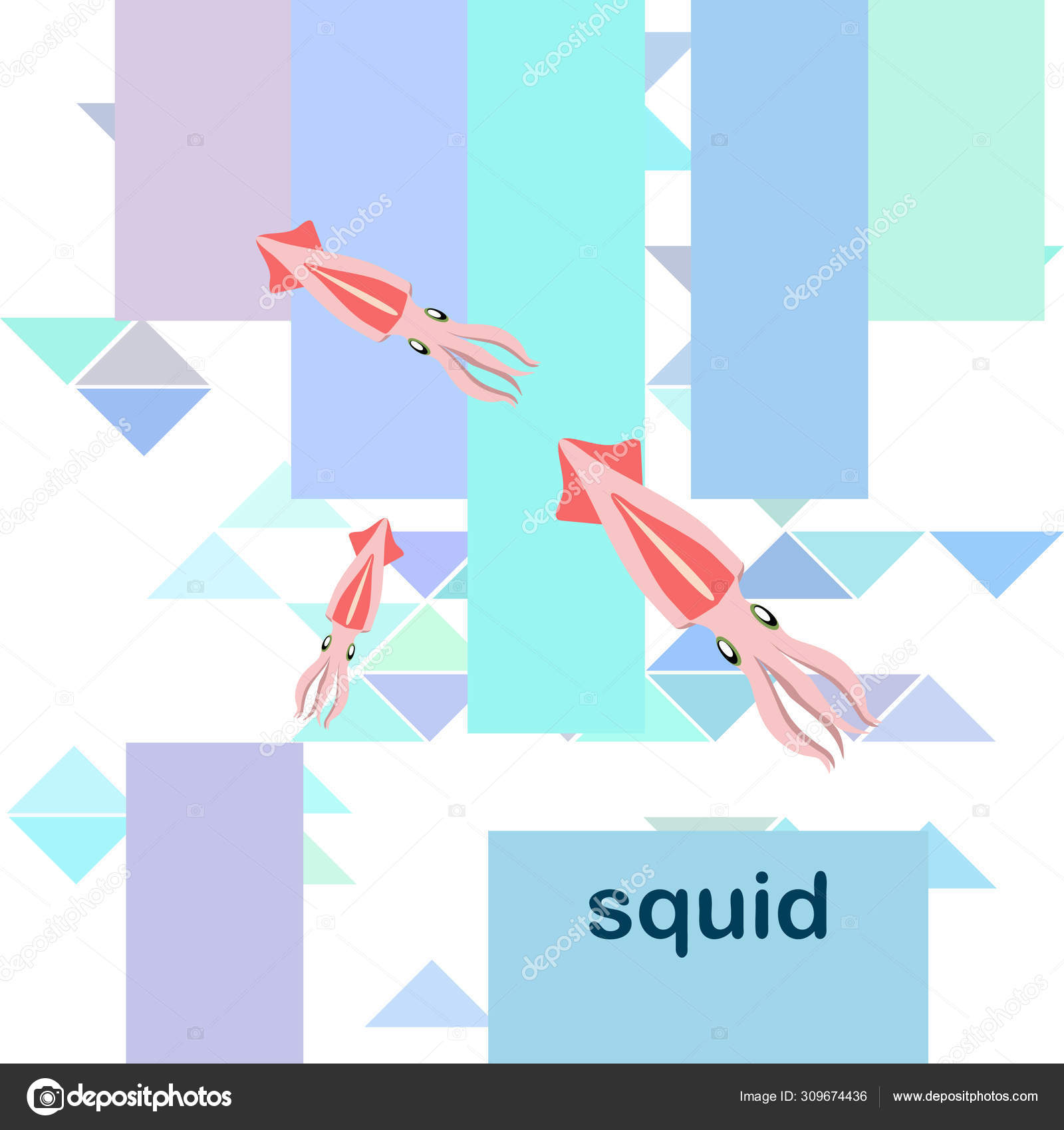 Squid fresh seafood. Vector backgroung. Food and restaurant design ...