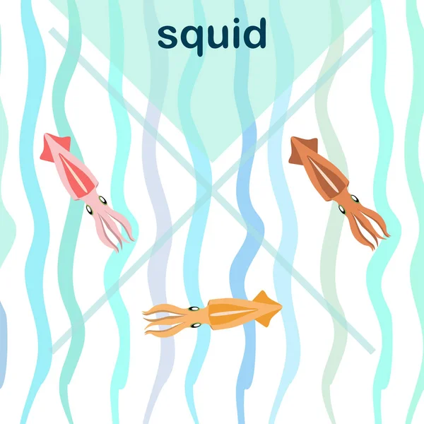 Squid fresh seafood. Vector backgroung. Food and restaurant design ...