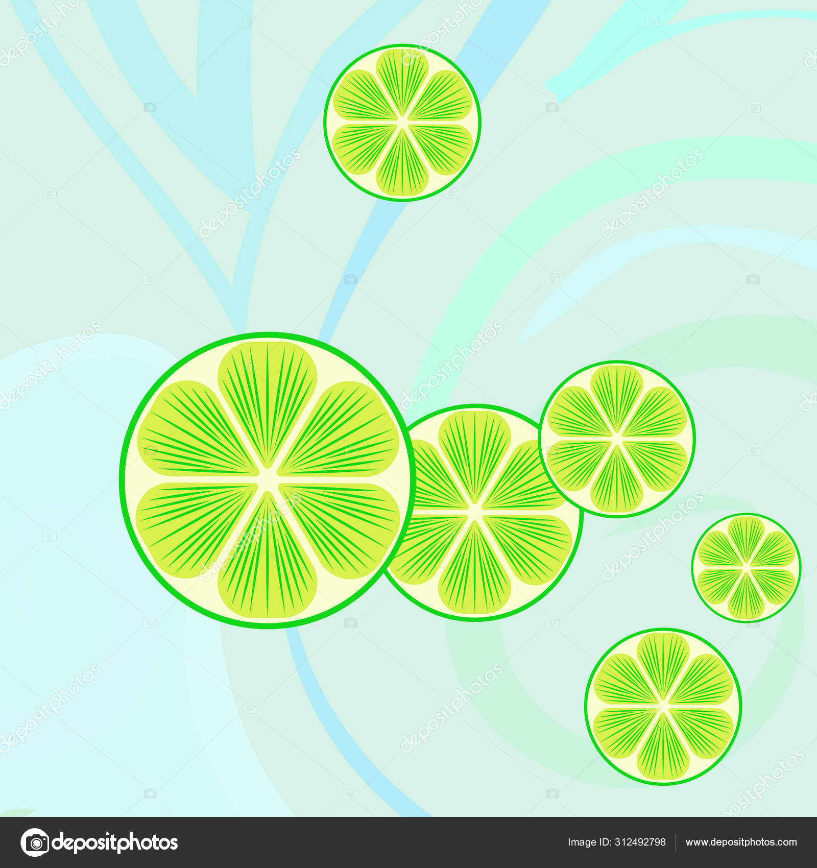 Green half and slice lime. Vector illustration, background. Stock ...