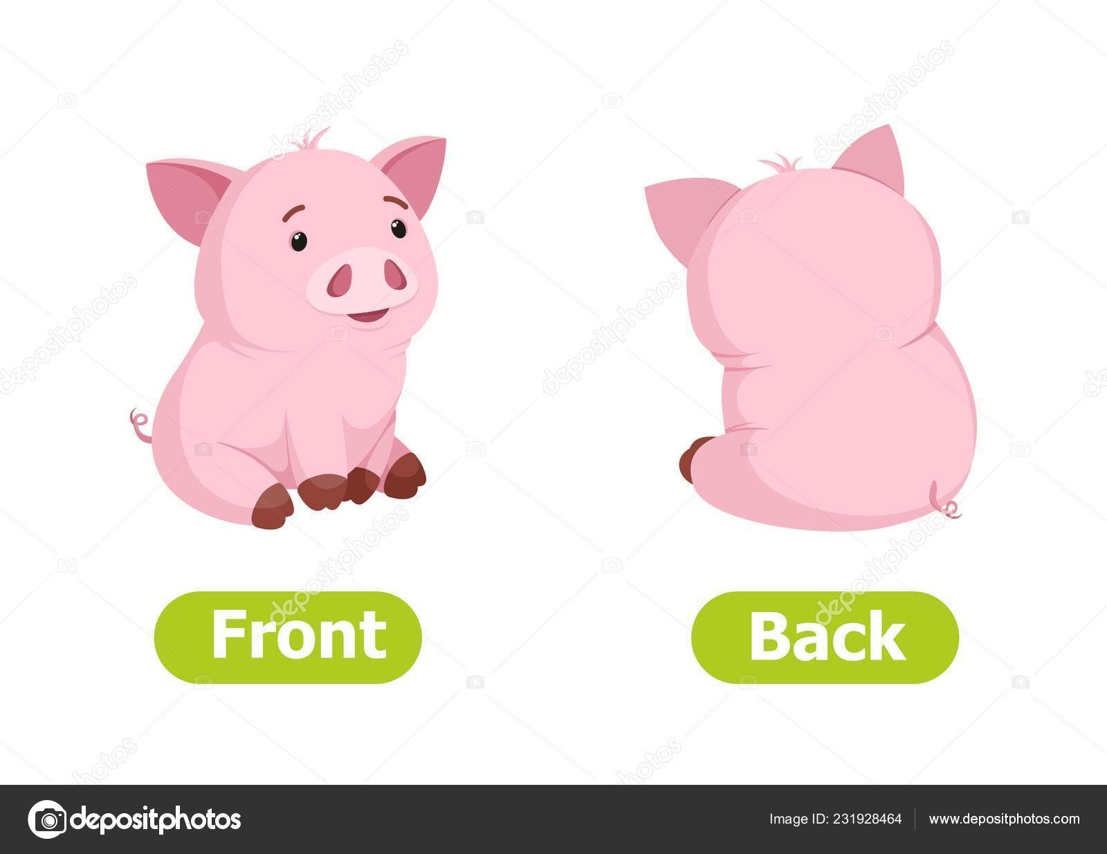 Vector Antonyms Opposites Front Back Cartoon Characters Illustration ...