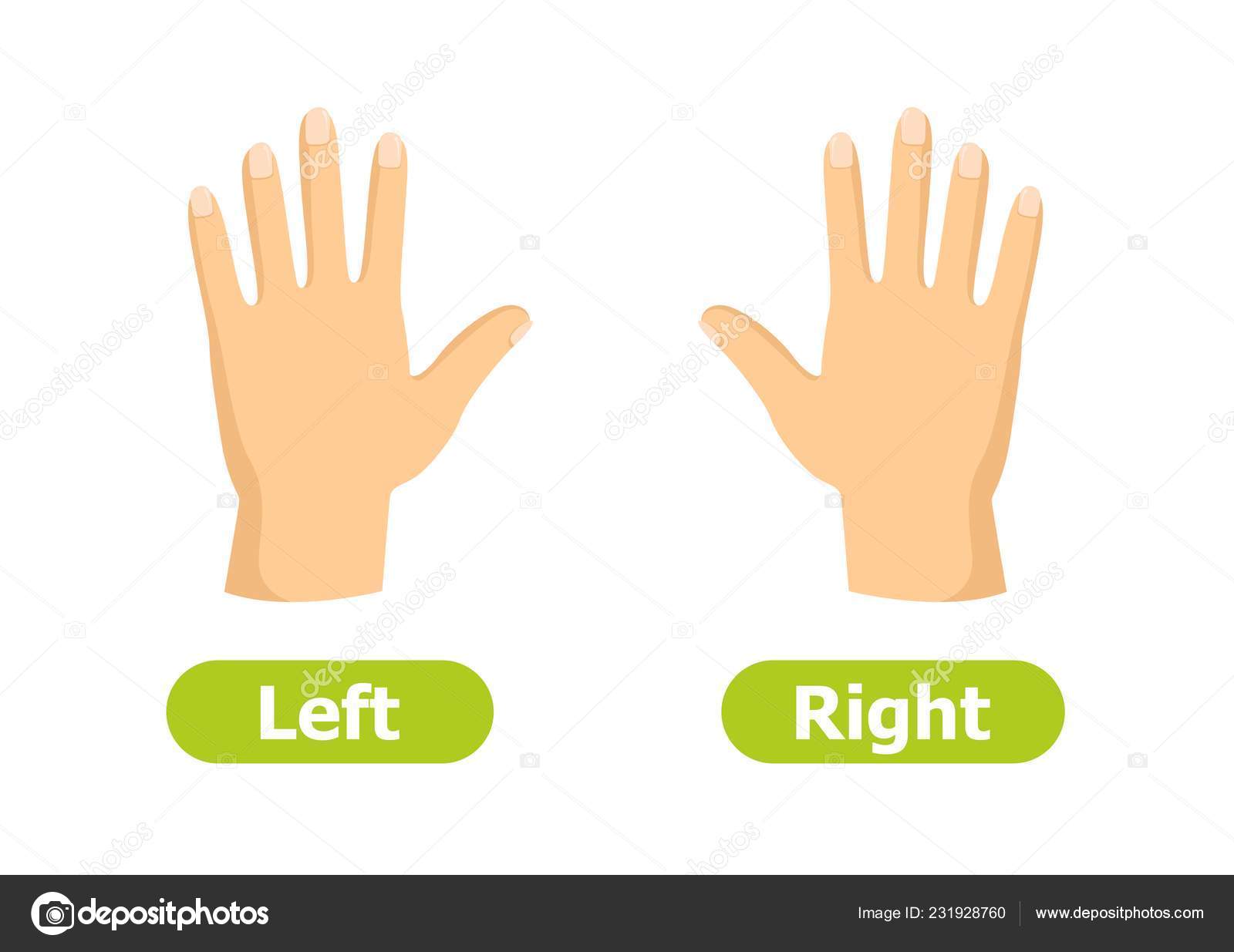 Cartoon Hands Left And Right