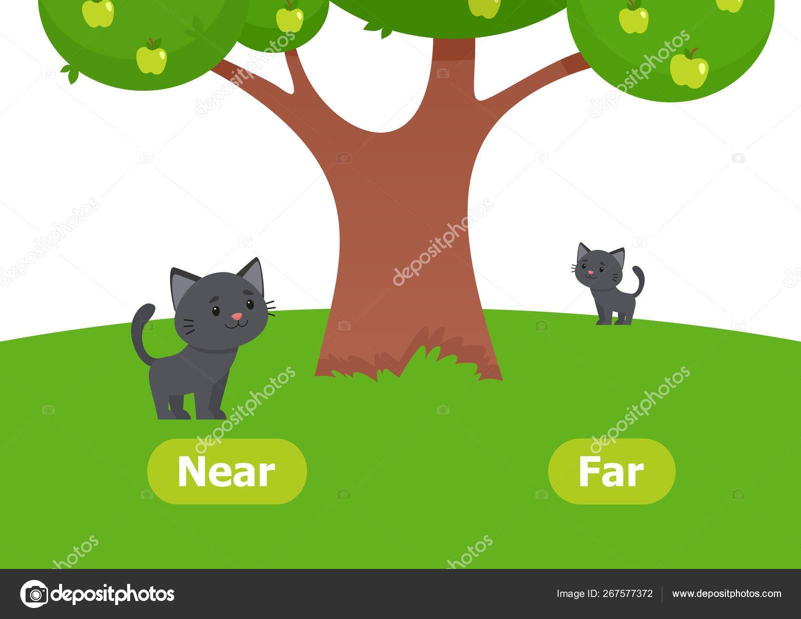 Kitten Far Illustration Opposites Far Card Teaching Aid Foreign ...