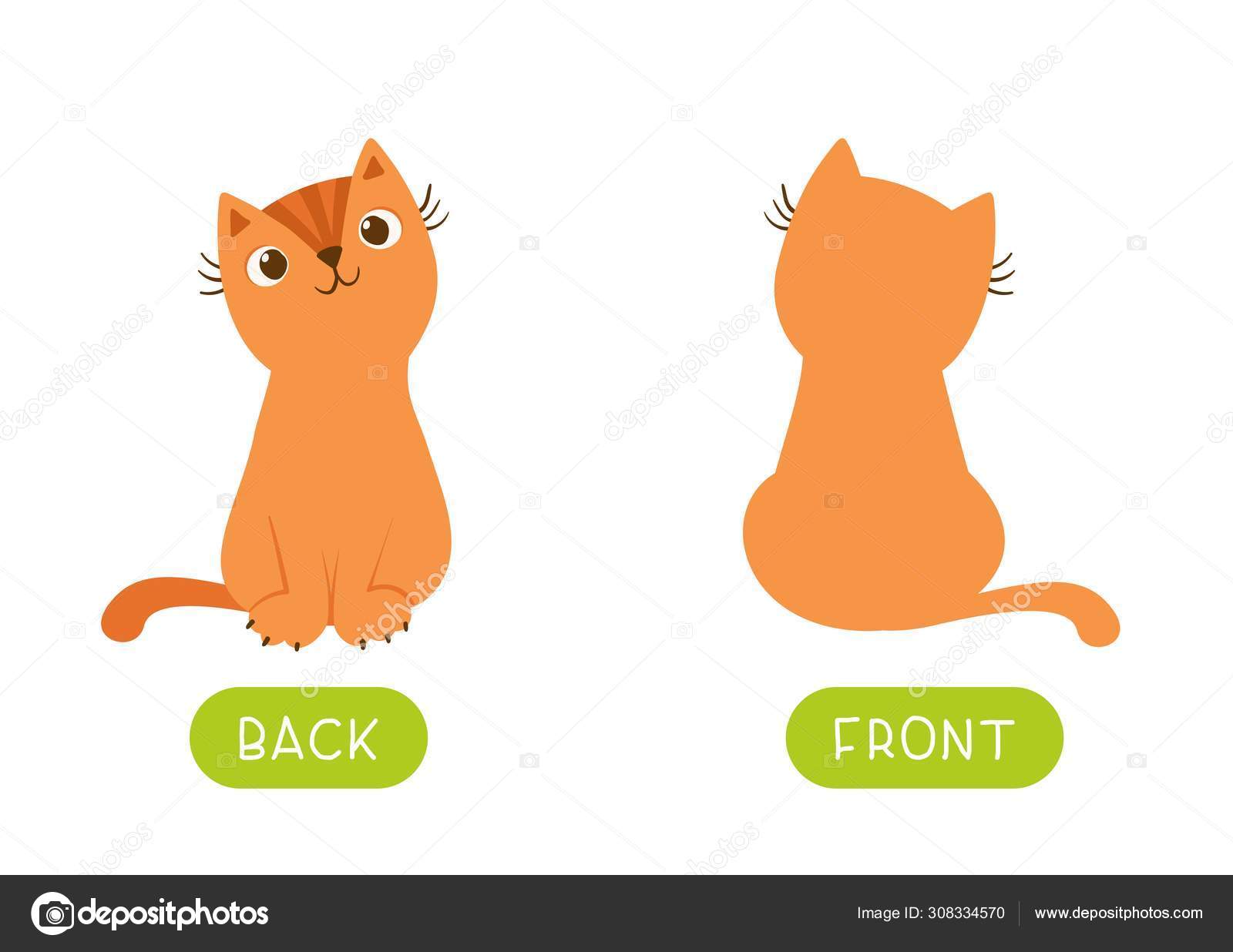 Funny Educational Word Card Children Vector Template Opposites Concept ...