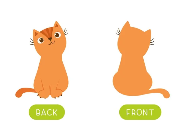 Funny Educational Flashcard Antonyms Vector Template Opposites Concept ...