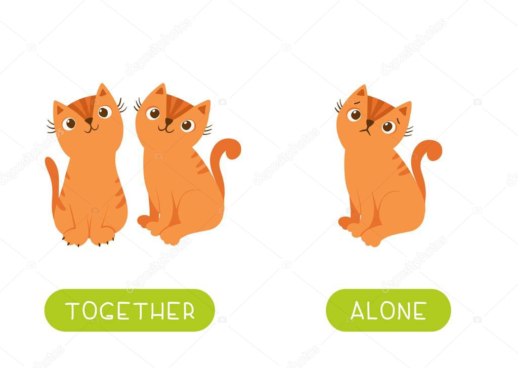 Flashcard con antónimos para niños plantilla vectorial. Concepto ...