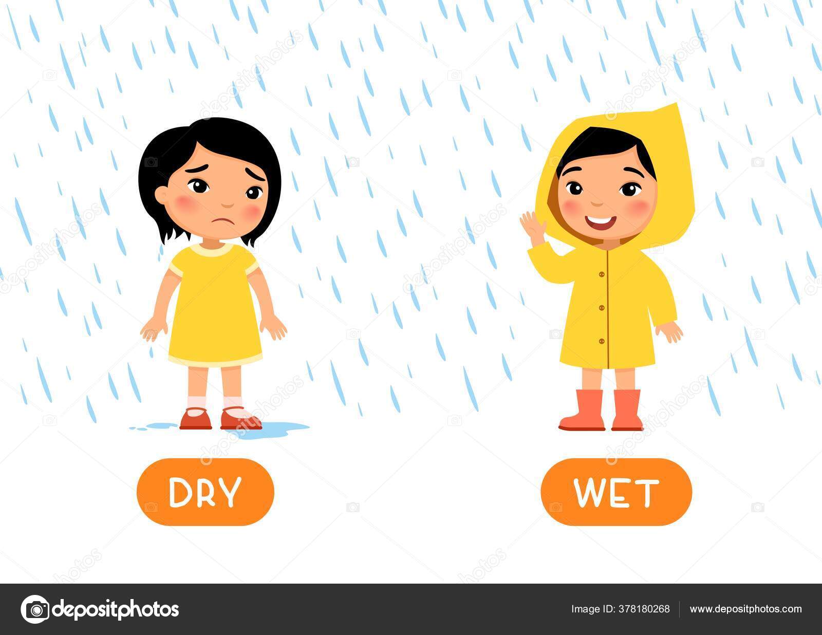 Wet And Dry Opposites