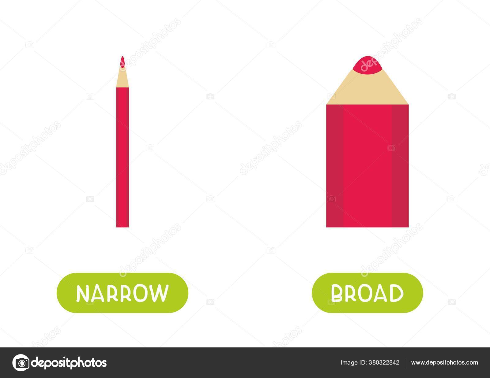 Narrow Broad Antonyms Word Card Flat Vector Template Flashcard English ...