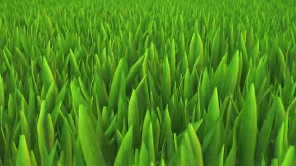 4,779 Hierba 3d Stock Videos, 4K & HD Footage | Depositphotos