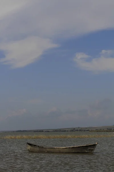 Fotos de El batel, Imagens de El batel sem royalties | Depositphotos