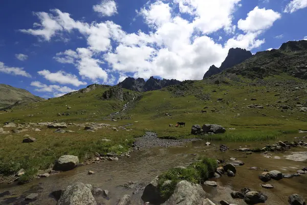 Pyrenees loop Stock Photos, Royalty Free Pyrenees loop Images | Depositphotos