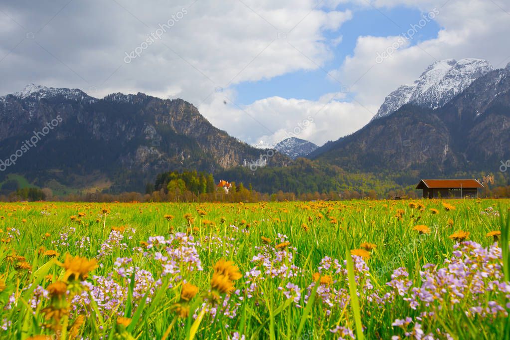 Hermosa vista del mundialmente famoso castillo de Neuschwanstein, el ...