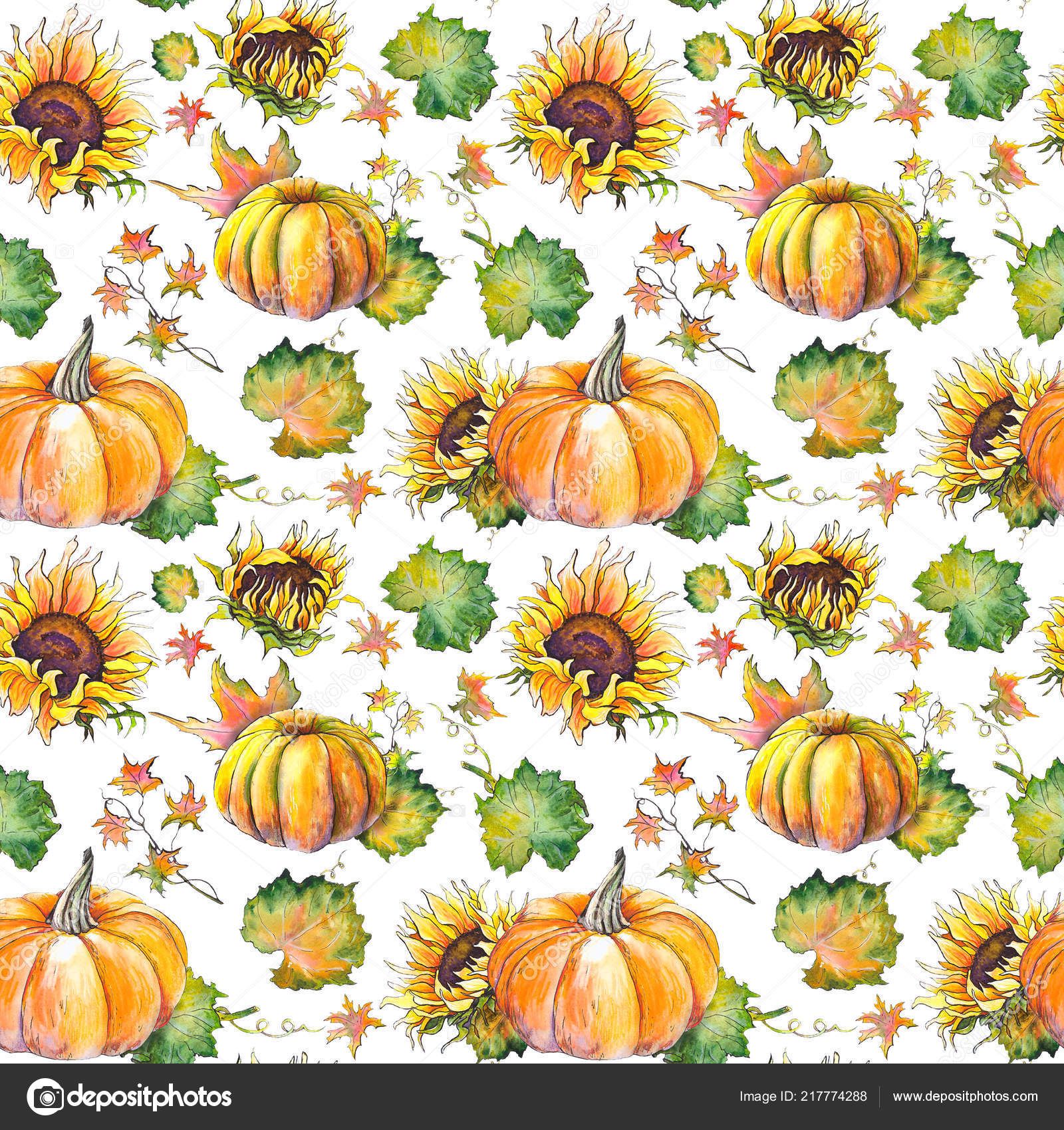 Fall Pumpkin Sunflower Wallpaper