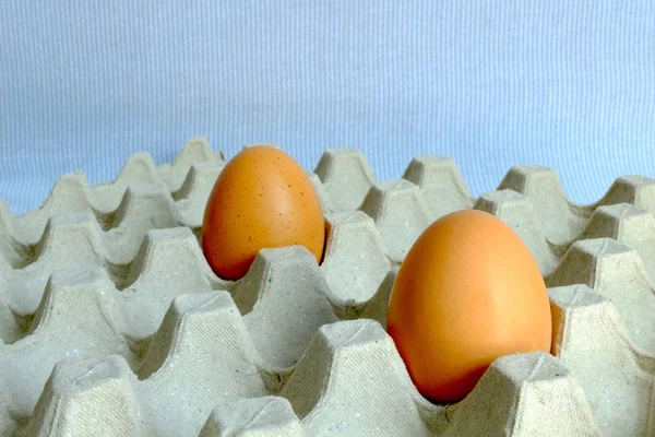 Difference of shell egg put on paper tray - Stock Image - Everypixel