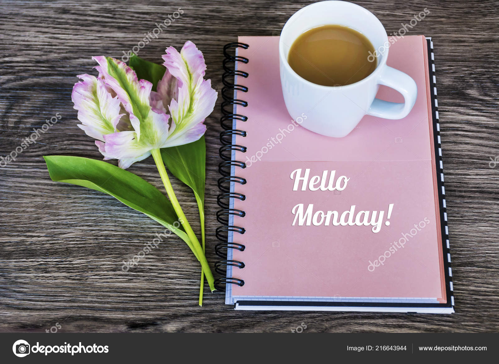 Spring Morning Coffee