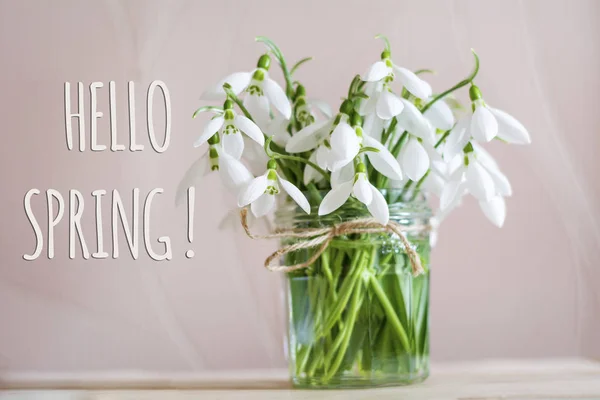 Hello spring Stock Photos, Royalty Free Hello spring Images | Depositphotos