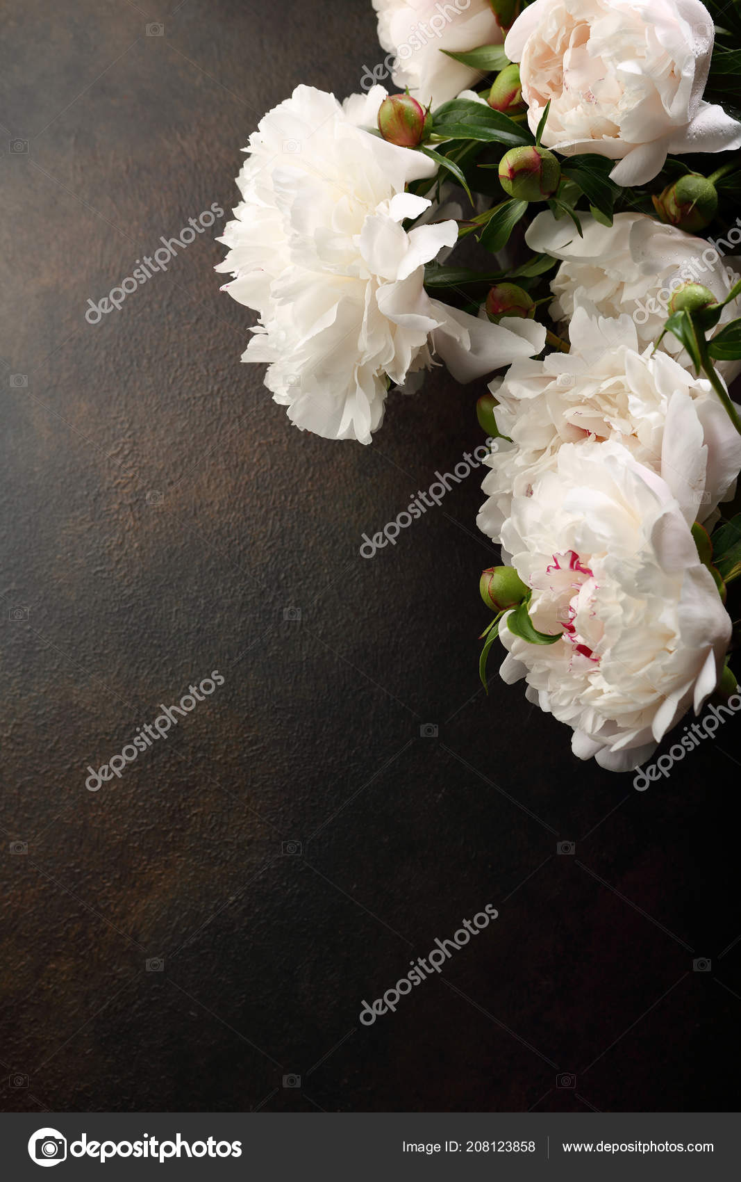 Peonies Stone Background Stock Photo by ©olhaafanasieva 208123858