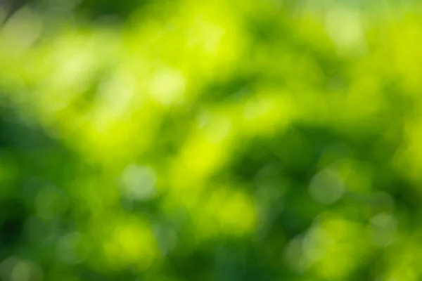 On a green summer background Stock Photos, Royalty Free On a green ...