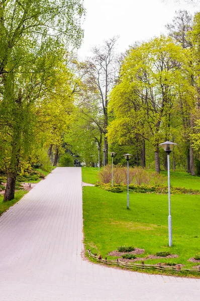 Straight line walking path, pavement with night lanterns surrounded by ...