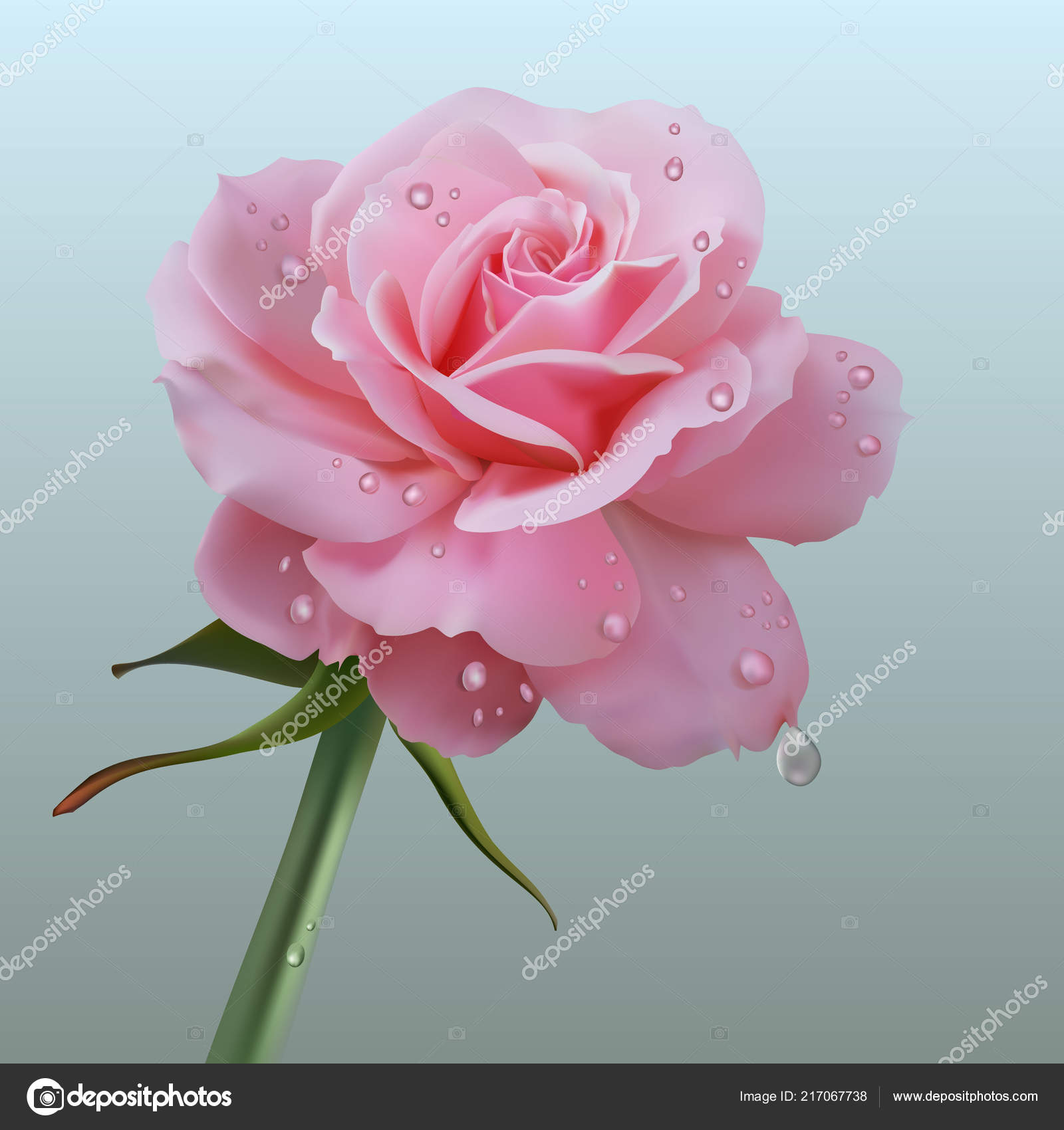 Realistic Pink Rose White Background Vector Illustration Stock Vector ...