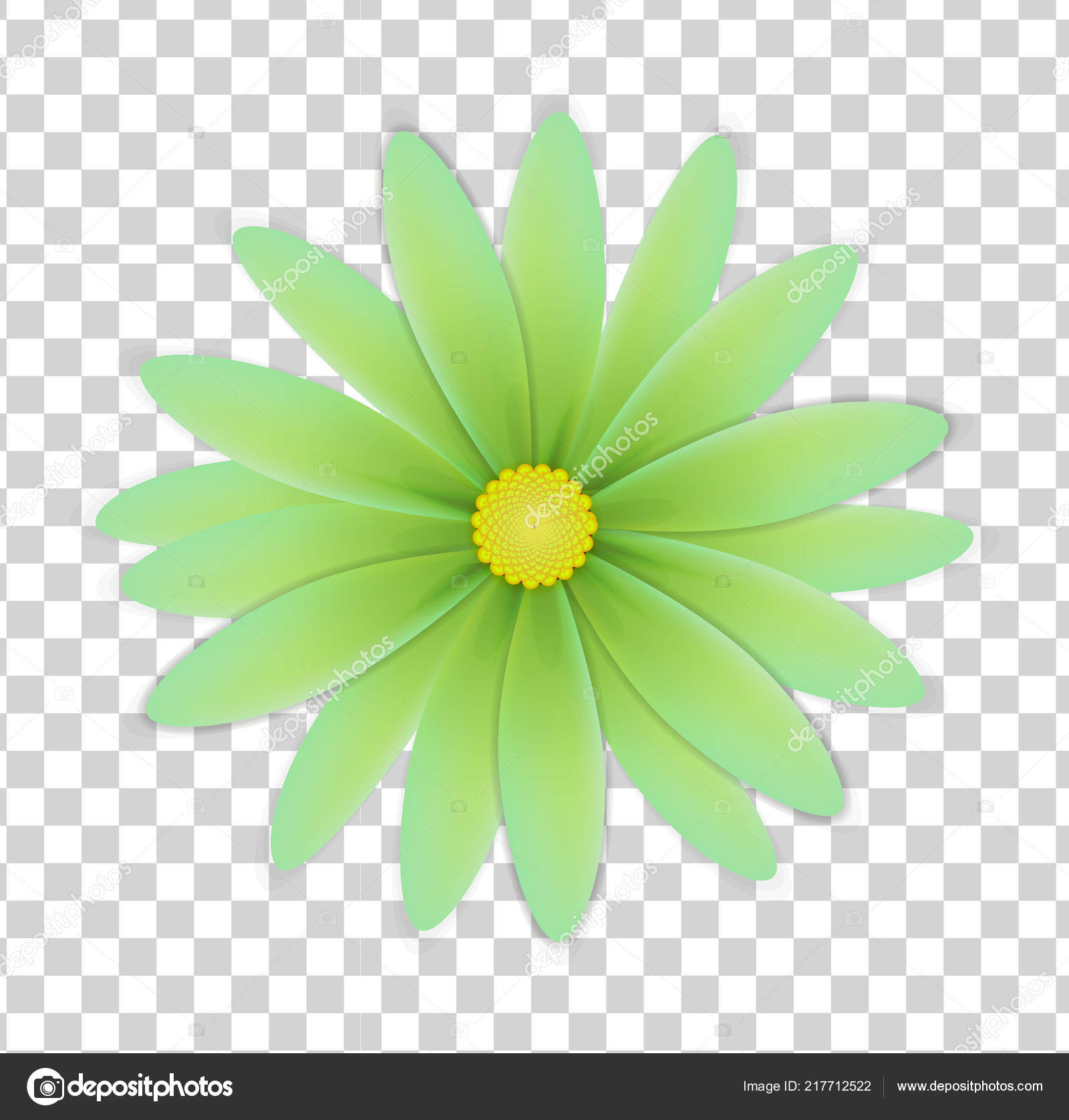 Background: green flower no | Tender Green Flower Transparent ...