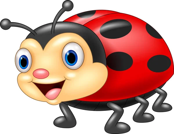 Vector Illustration Cartoon Ladybug Flying White Background Stock ...