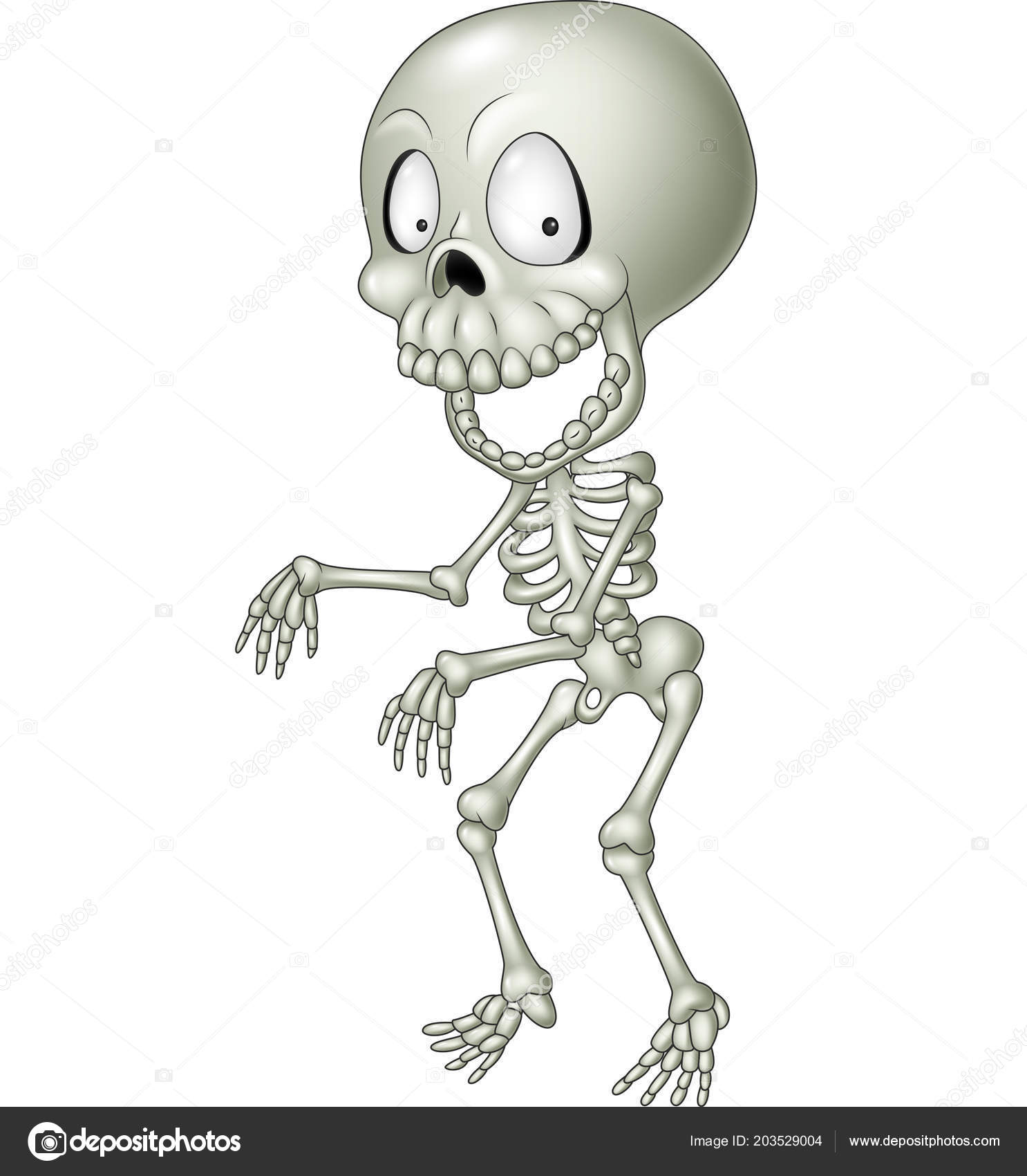 Cartoon Human Skeleton