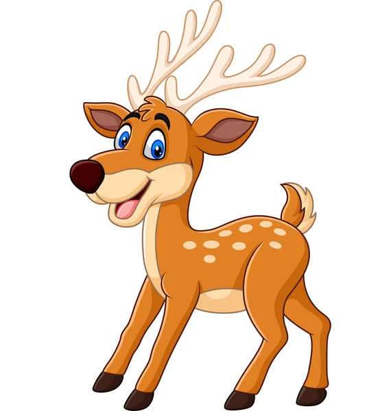 Deer cartoon Stock Vector Image by ©tigatelu #19578559