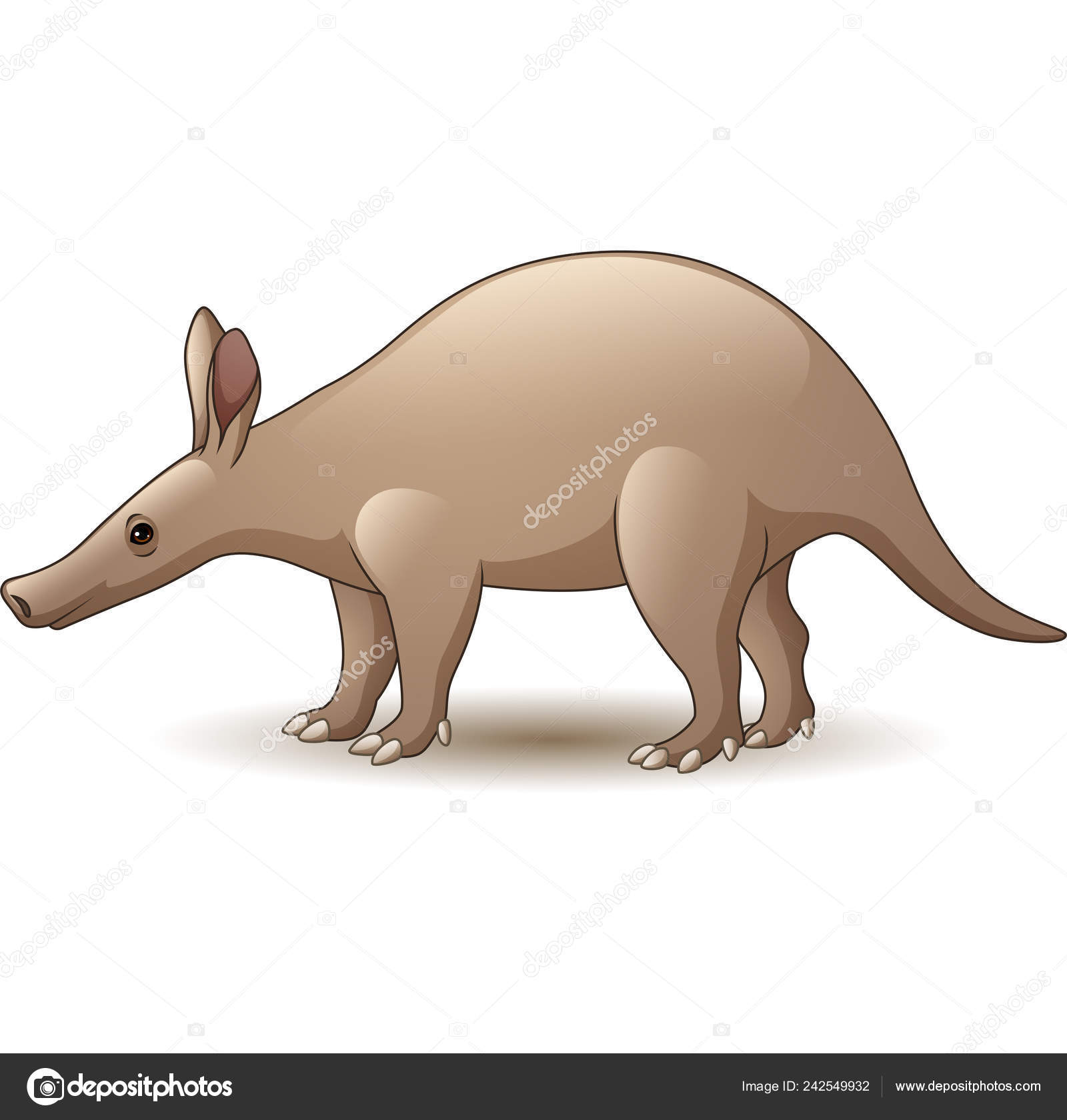 Ilustración Vectorial Cartoon Aardvark Aislado Sobre Fondo Blanco ...