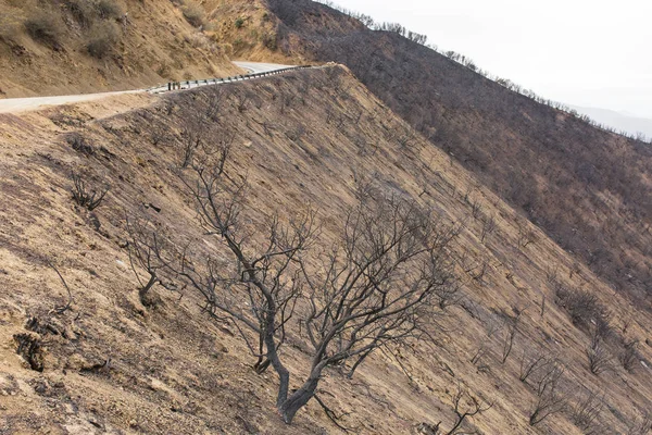 Destroyed Wooden Sign Road Damaged Thomas Fire Highway Ojai California ...
