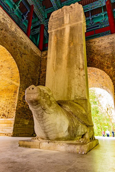 Xiao ling Stock Photos, Royalty Free Xiao ling Images | Depositphotos