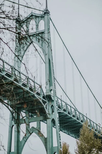 Storrow Stock Photos, Royalty Free Storrow Images | Depositphotos