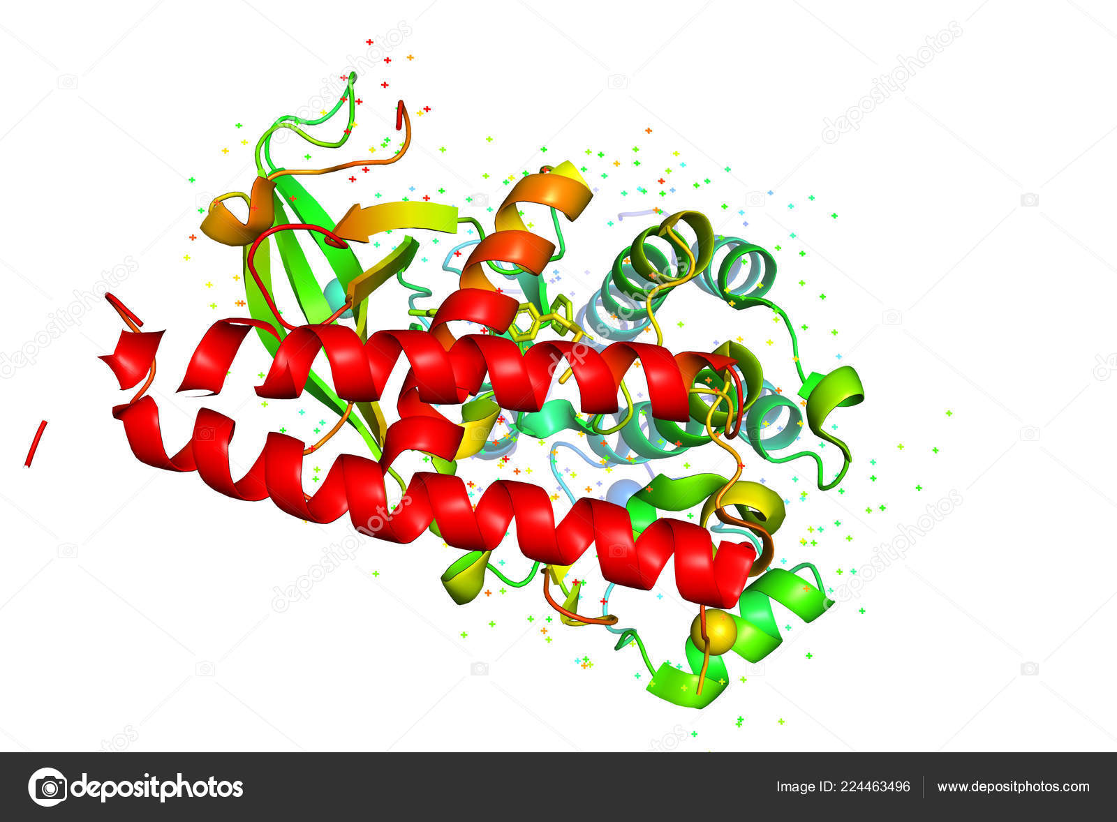 Protein Molecule 3d