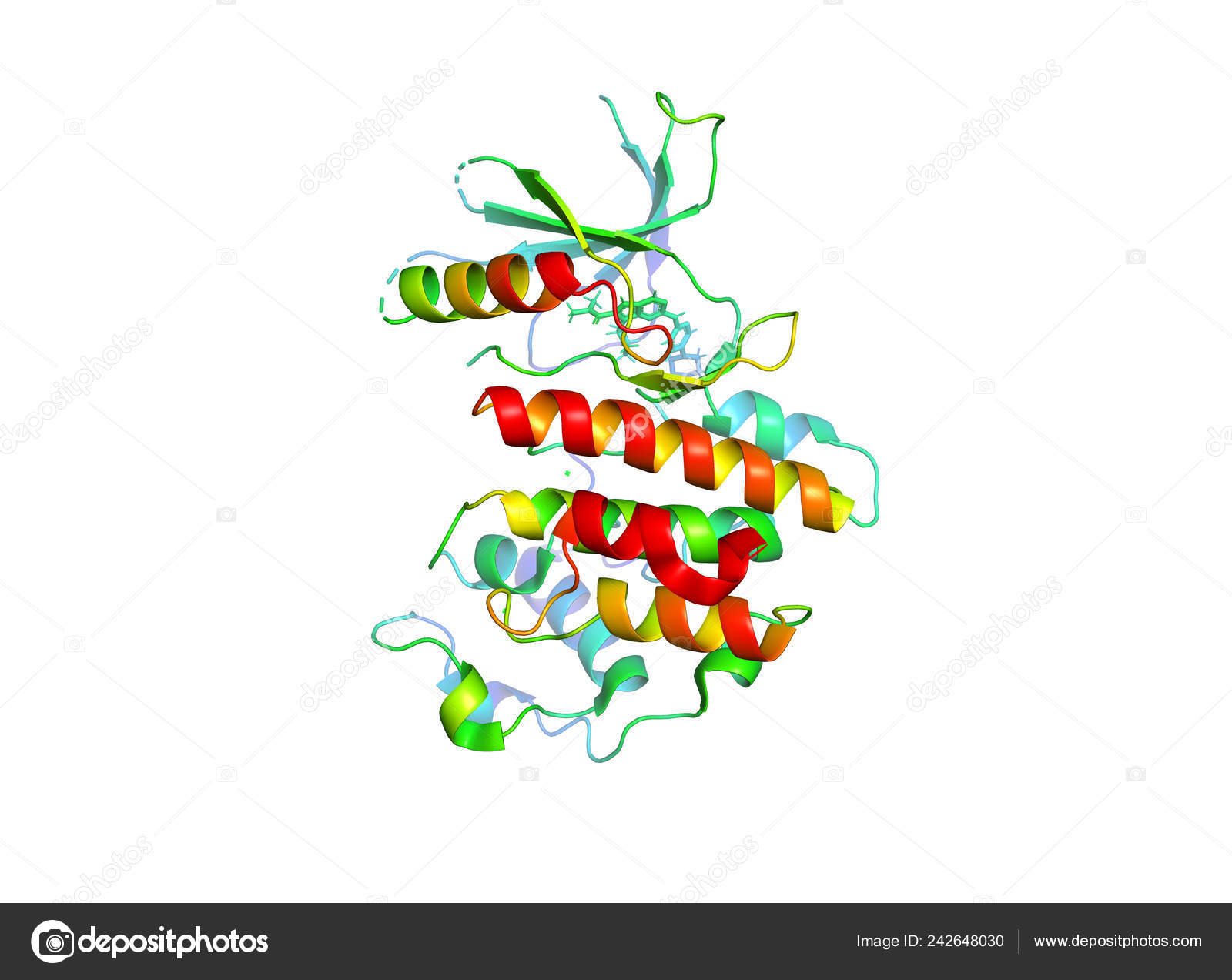 Crystal Structure Tumor Marker Protein Model Biological Macromolecule ...